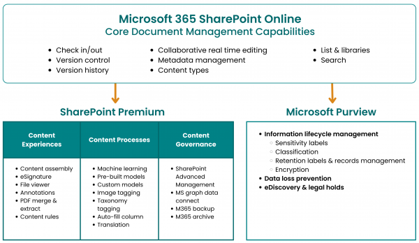 Legal Document Management: SharePoint and Microsoft Purview